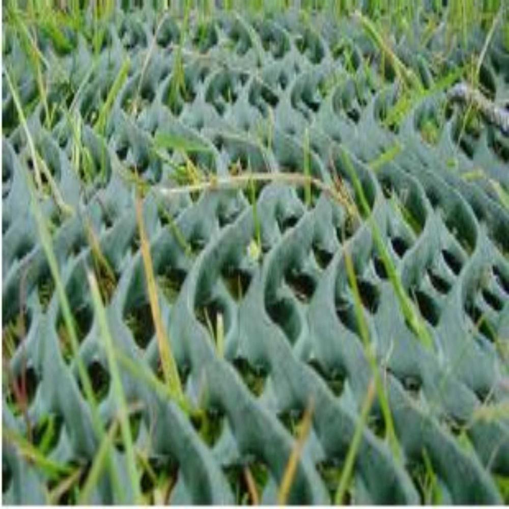 Grass Reinforcement Mesh Medium 13mm - Grass Protecta & Turf ...