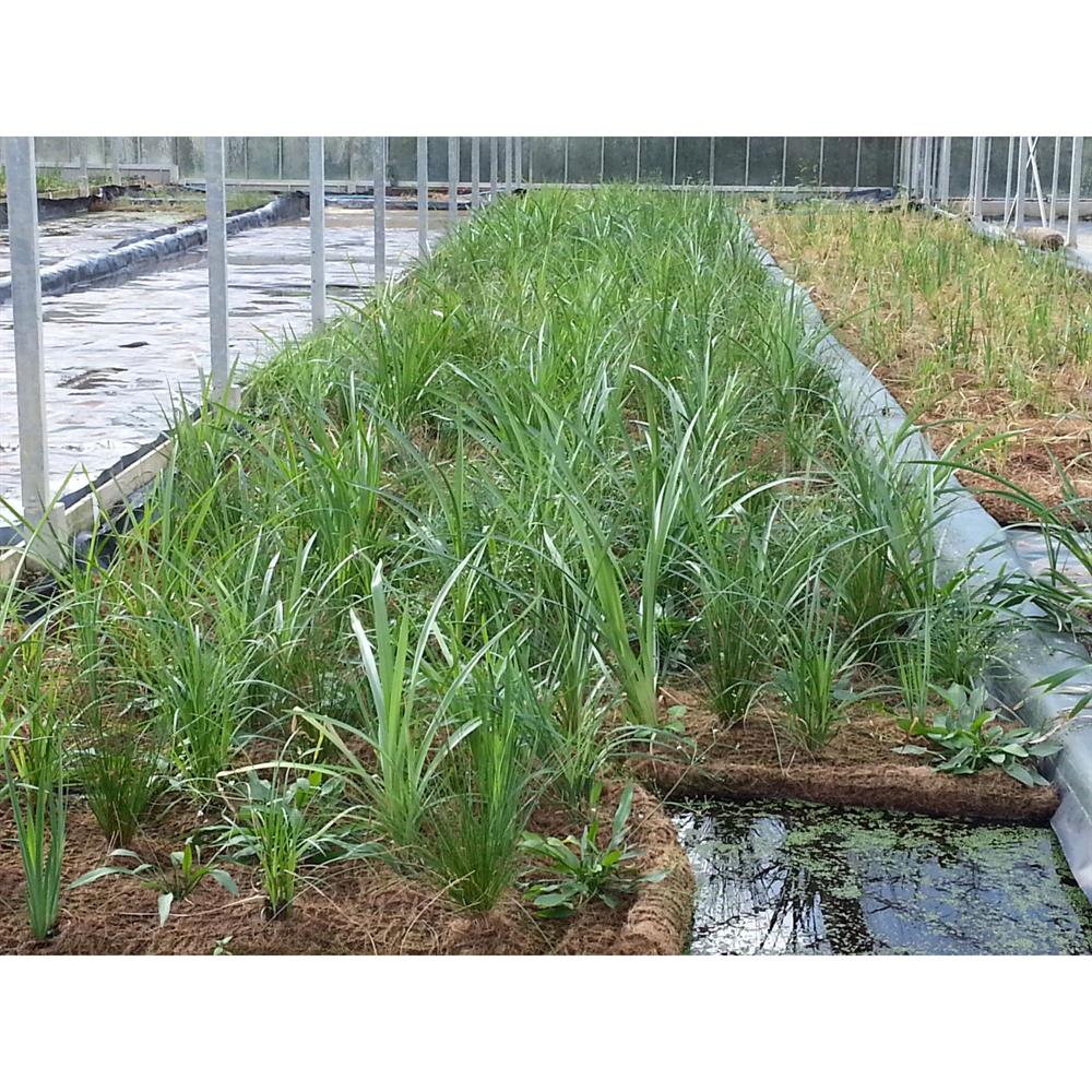 gtCoir Pallets - Erosion Control | Green-tech