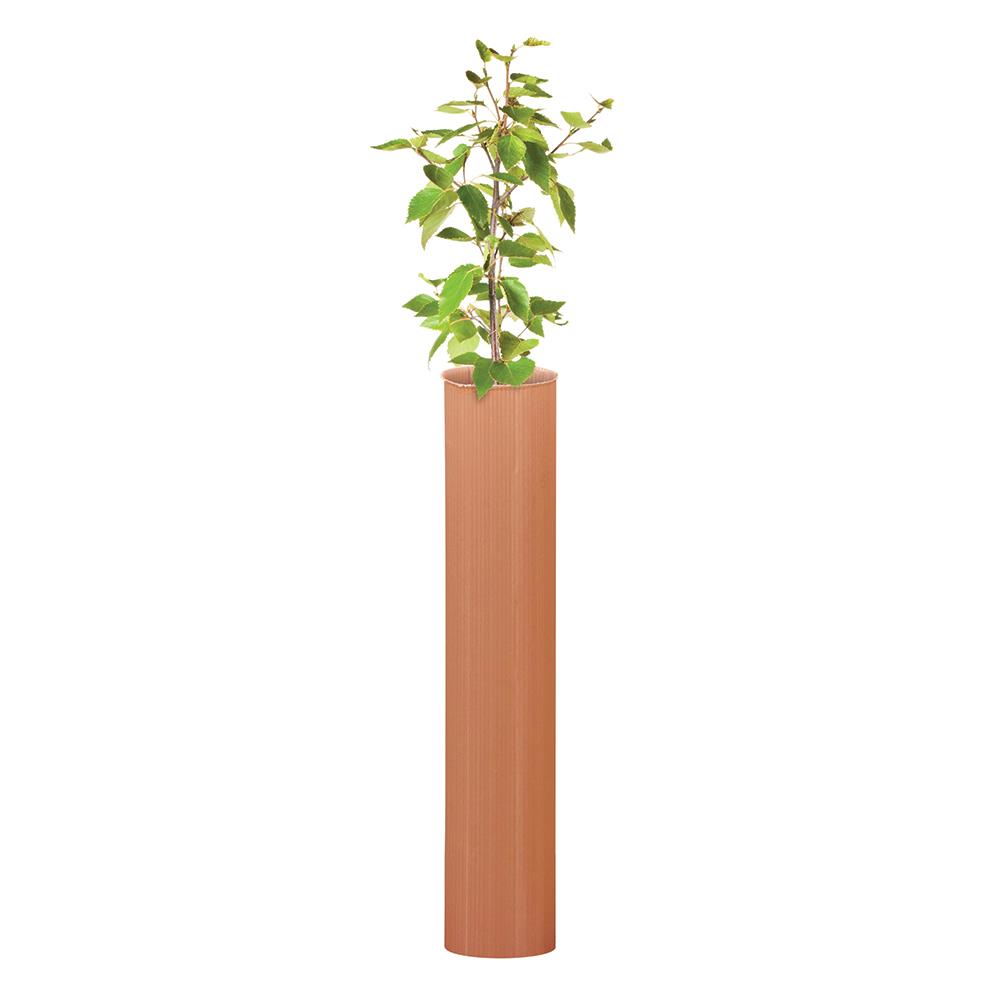 Tubex Nature Standard Tree Shelter - Tree Protection & Shelters | Green ...
