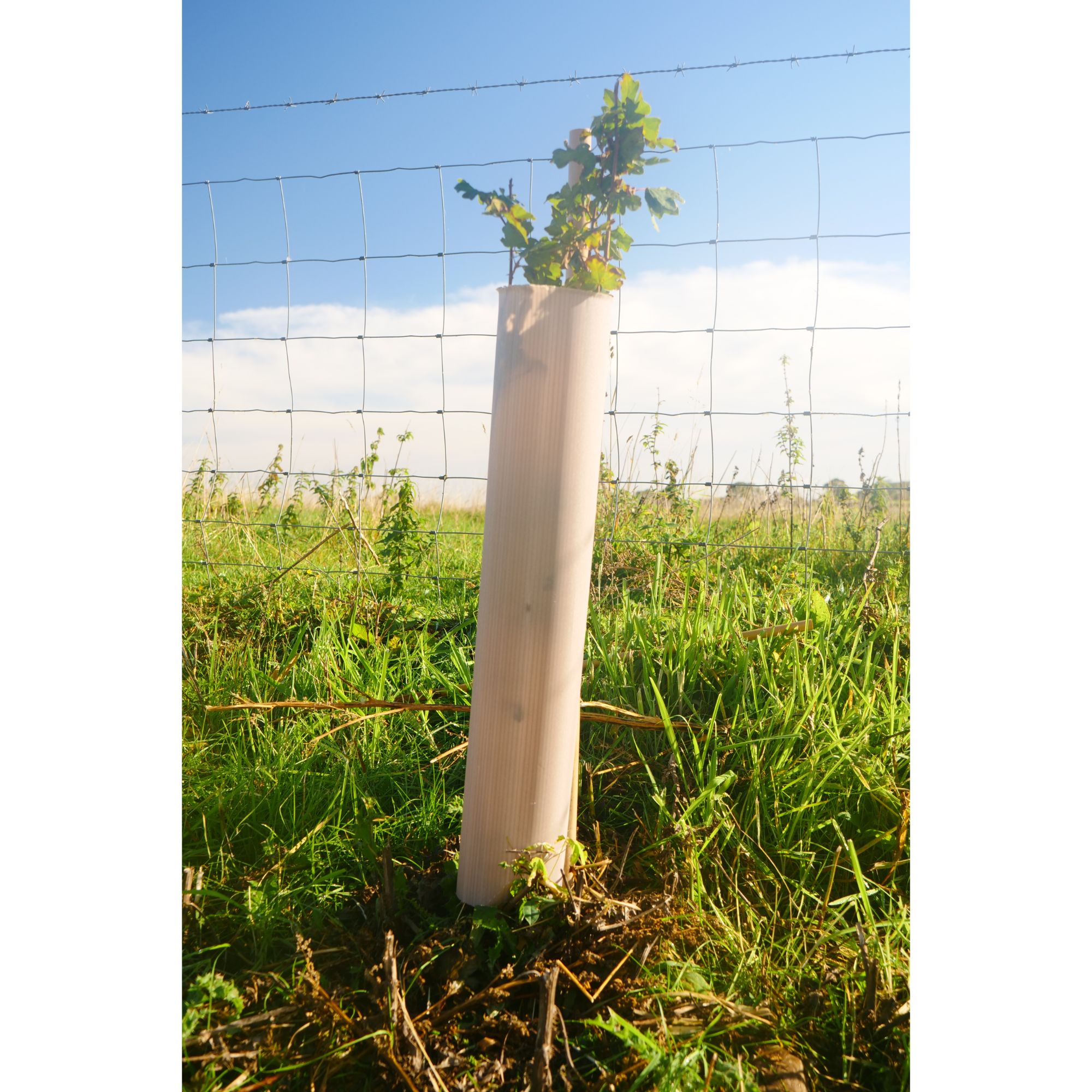 Tubex Nature Tree Shelter - Tree Protection & Shelters | Green-tech