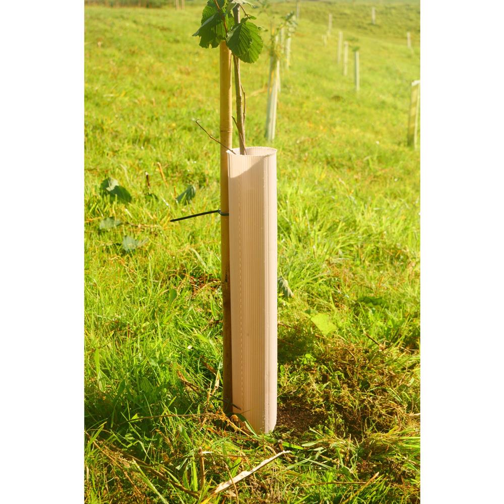 Tubex Nature Tree Shelter - Tree Protection & Shelters | Green-tech