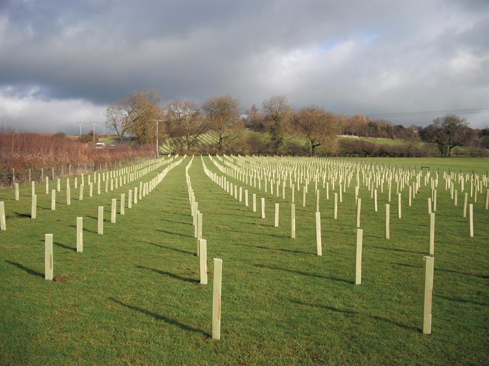 Tree Defender Pro Shelter Guard - Tree & Shrub Shelters | Green-tech