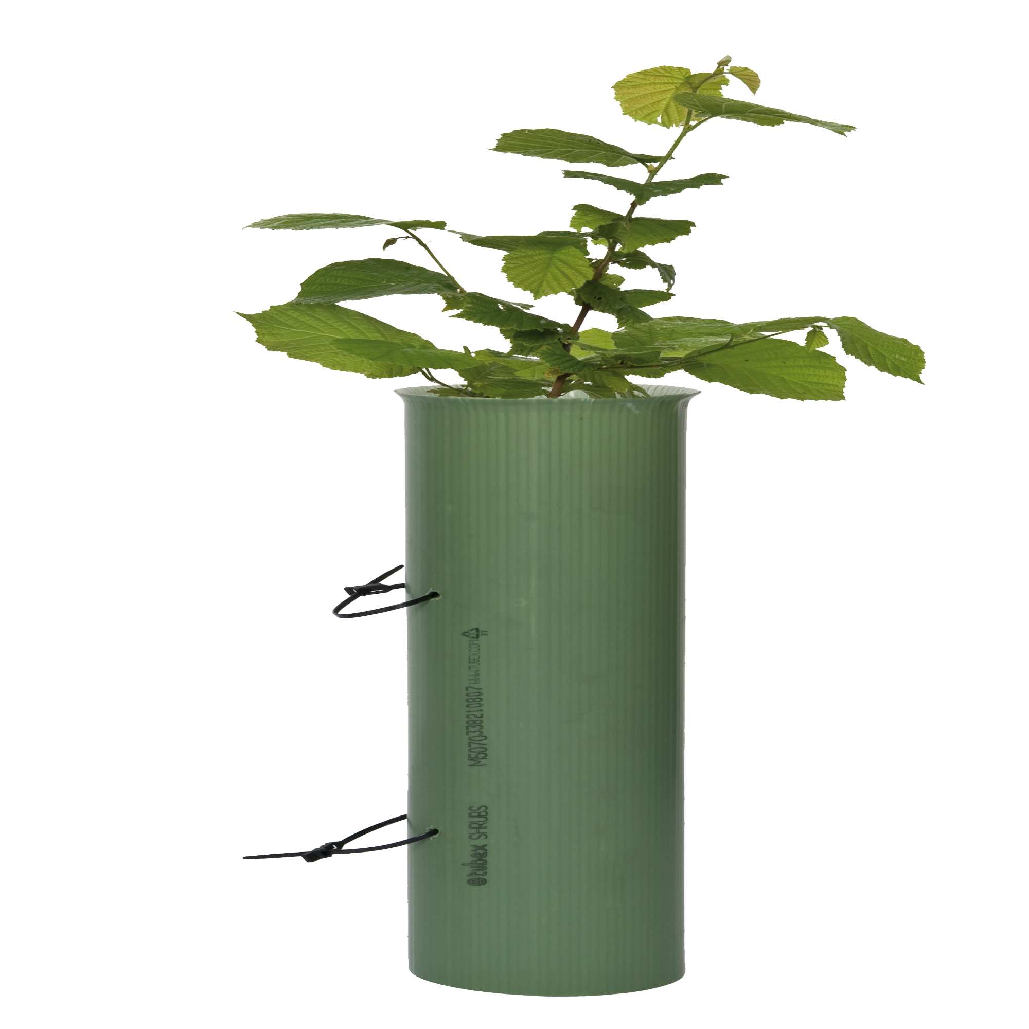 Tubex Shrub Shelter Guard - Tree & Shrub Shelters | Green-tech
