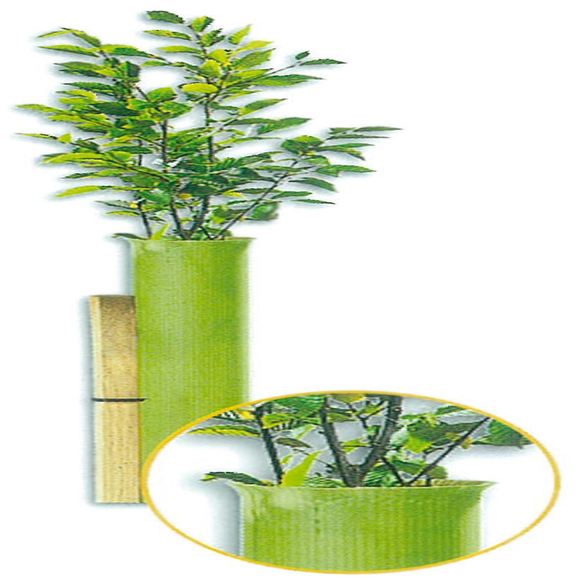 Tubex Standard Tree Shelter Guard - Tree and Shrub Shelters | Green-tech