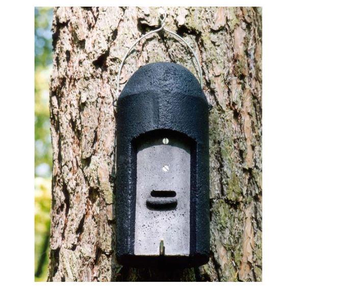 1FD Schwegler Bat Box - Bat Boxes
