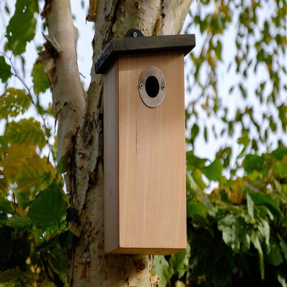 Predator Resist Nestbox Bird Box