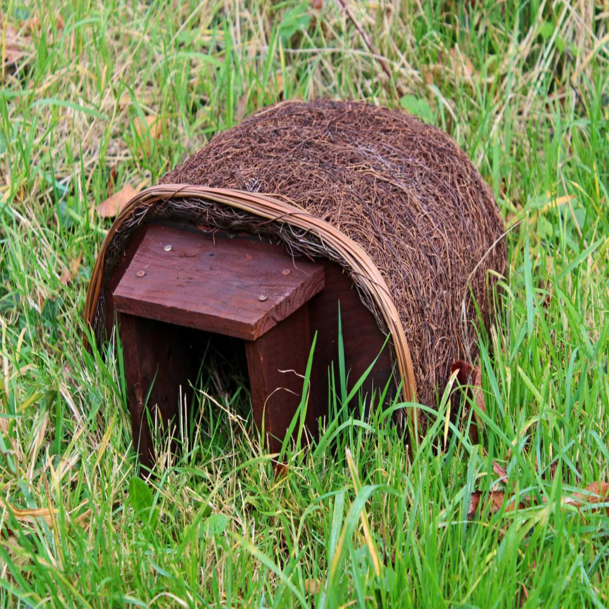 Wildlife Nest Boxes | Green-tech